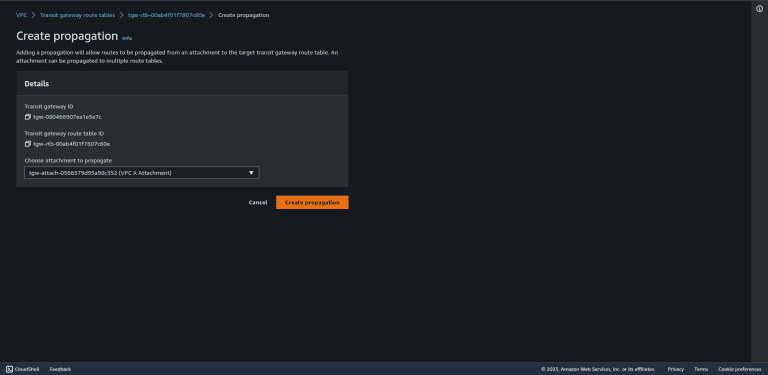 How to Control AWS Transit Gateway Traffic with VRF | NetworkProGuide