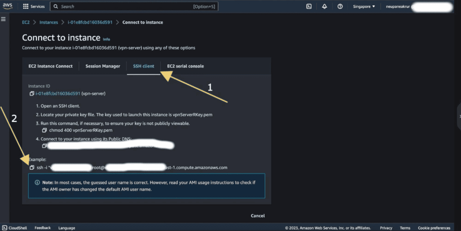 How To Setup An Aws Client Vpn Using Openvpn On Ec2 Networkproguide 6196