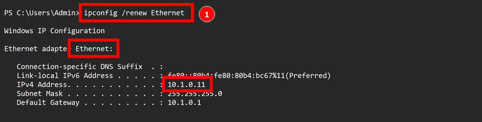 Using ipconfig: Breakdown of Commands and Options | NetworkProGuide