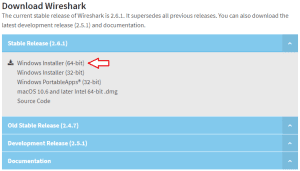 How to Install Wireshark on Windows 10 | NetworkProGuide